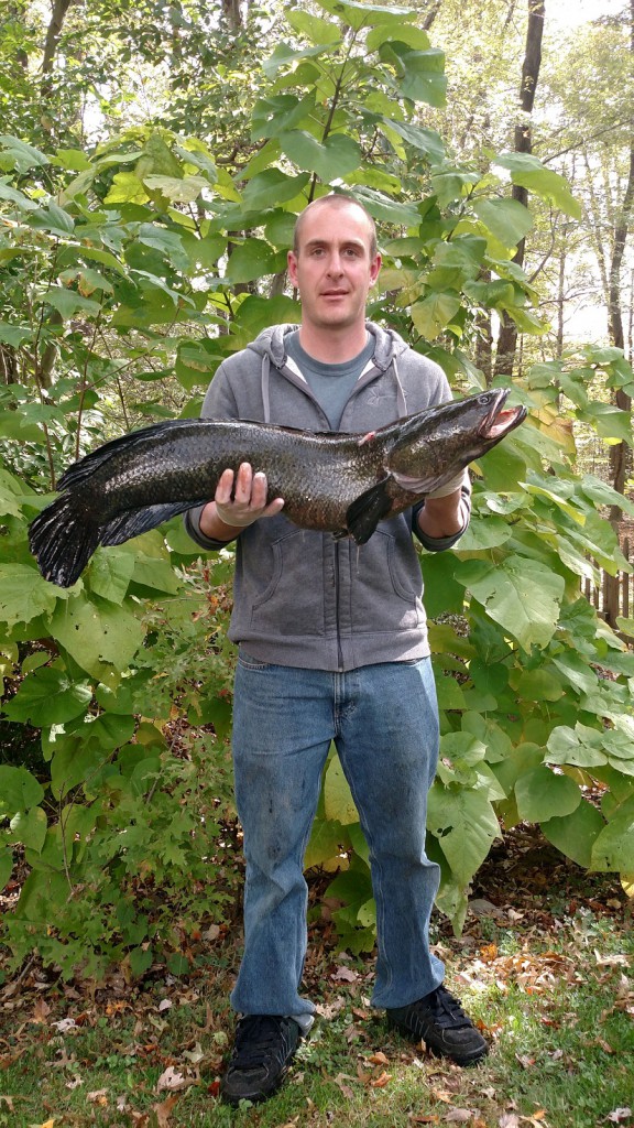 Upper Marlboro Sportsman Sets New Maryland Snakehead Record