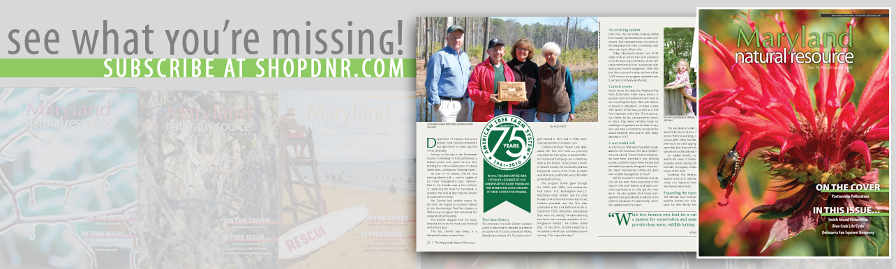 The American Tree Farm System: Celebrating 75 years