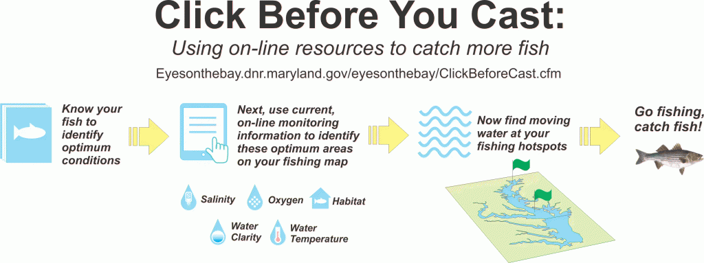 Weekly Fishing Report: July 19