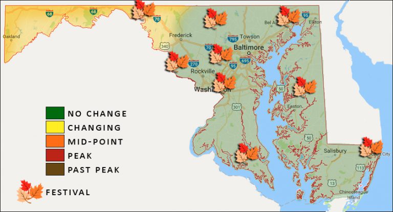 Fall Foliage and Festival Report: September 23-24