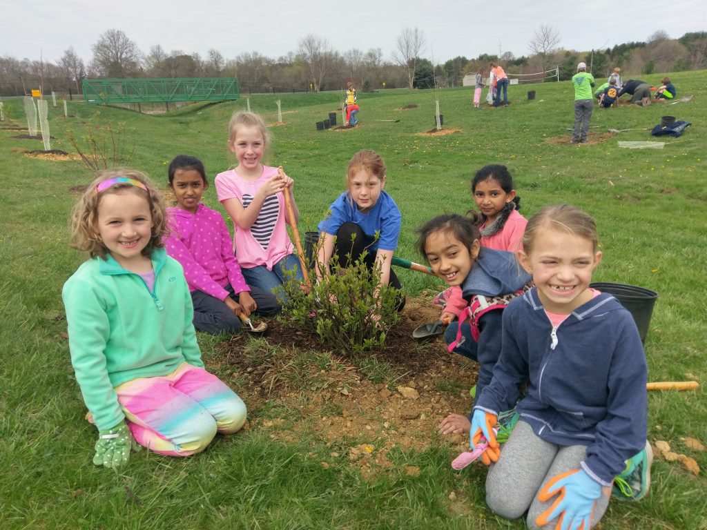 Free Tree Seedlings Available for Frederick County Landowners
