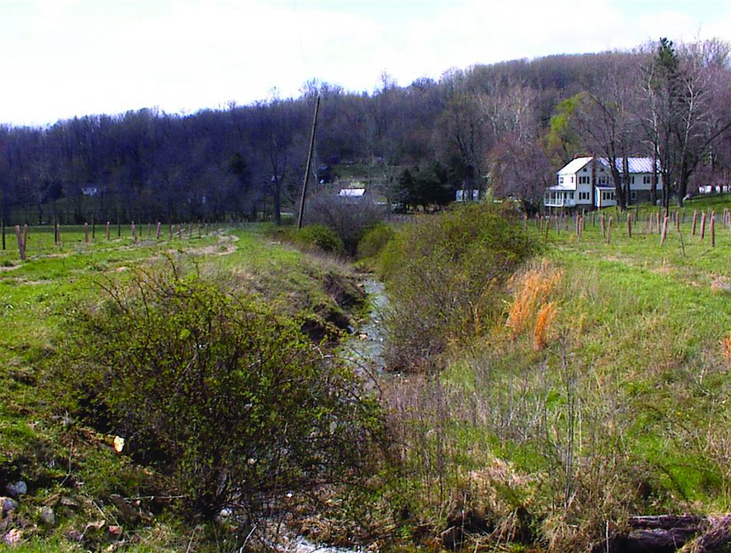 Transforming with Trees: 15 Years of Monitoring Streamside Buffers