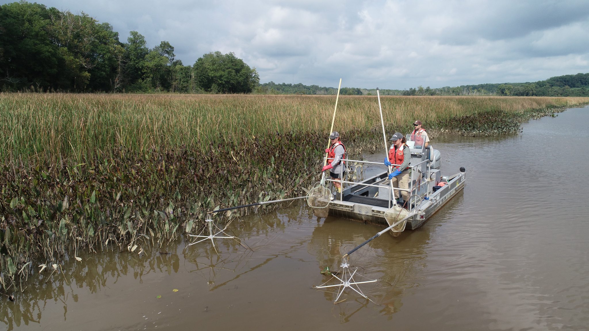 Tools of the Trade: Electrofishing