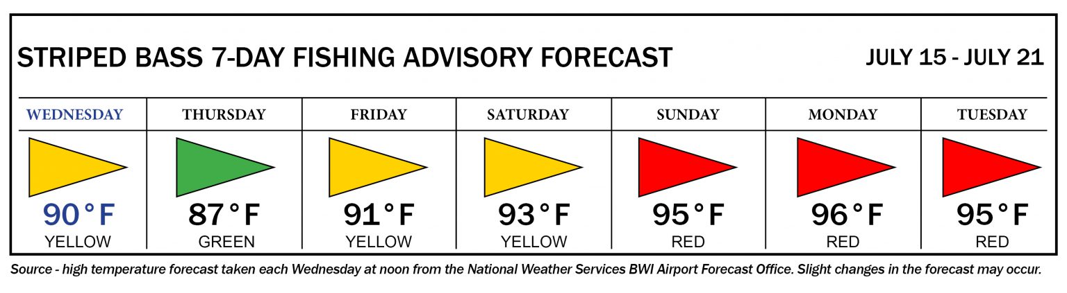 Maryland Fishing Report – July 15