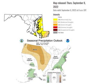Fall Foliage Preview for 2022