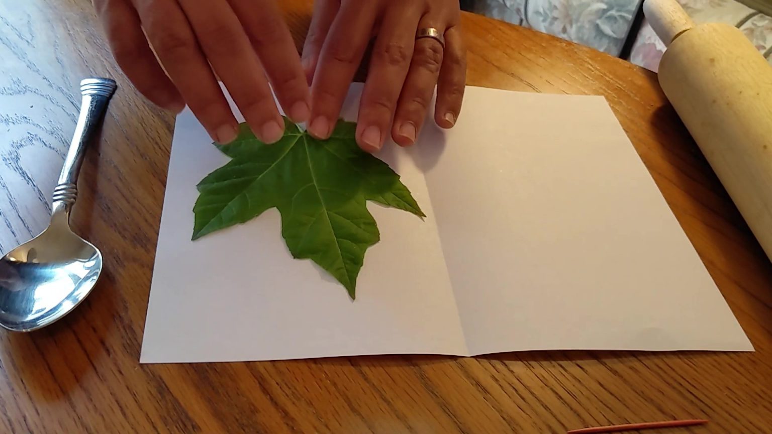 Chlorophyll Leaf Prints in 5 Easy Steps