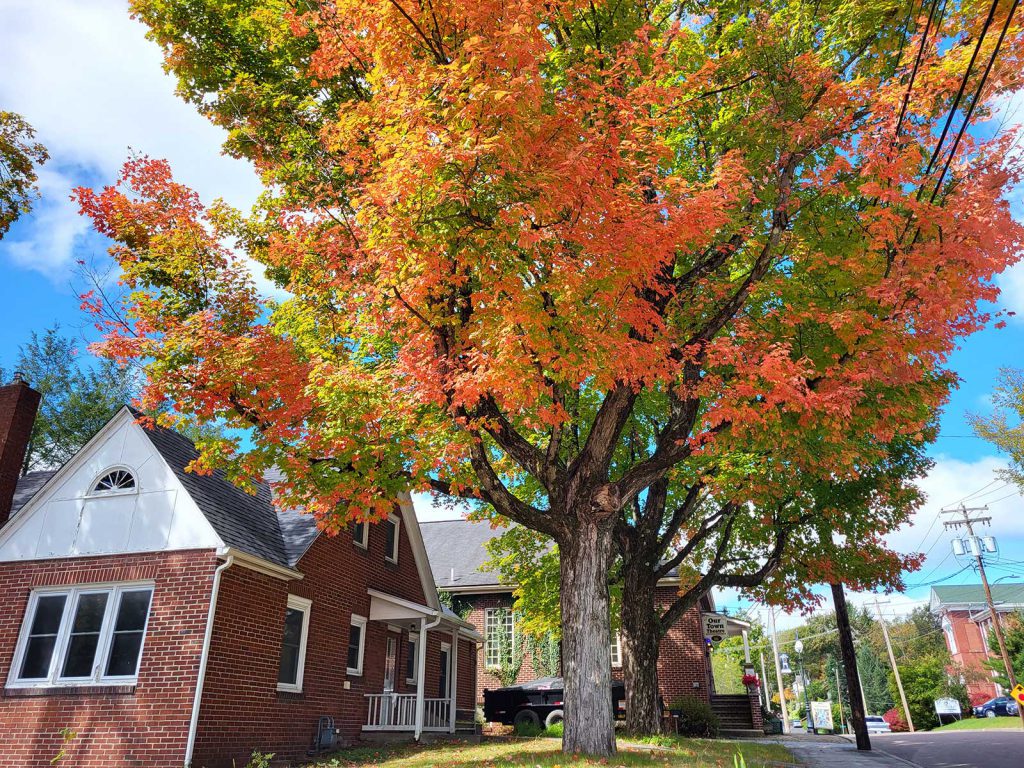 Fall Foliage Report – September 29, 2022