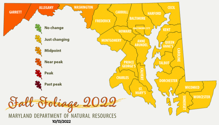 Photo by Lauren Moses, Maryland Department of Natural Resources.