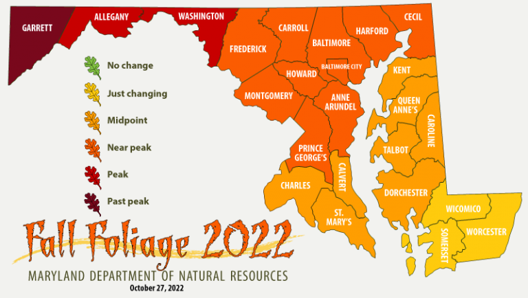 Fall Foliage Report – October 27, 2022
