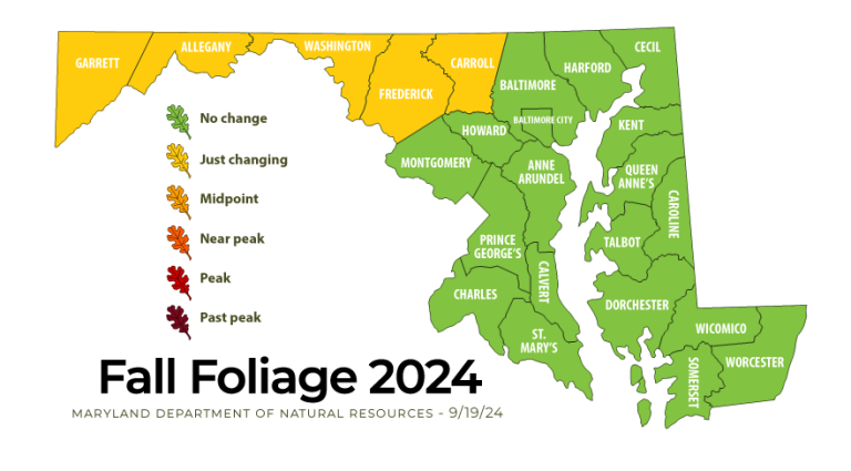 Maryland Fall Foliage Preview 2024