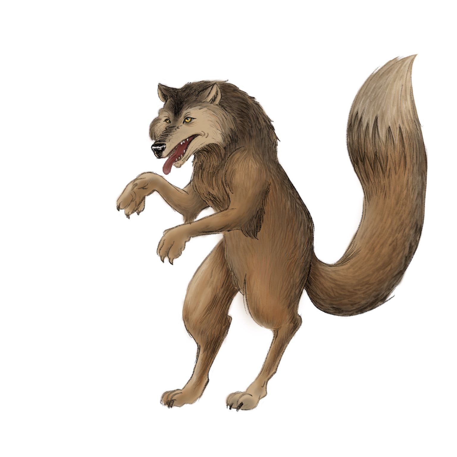 Meet Maryland’s Cryptids and the Wildlife That May Have Inspired Them