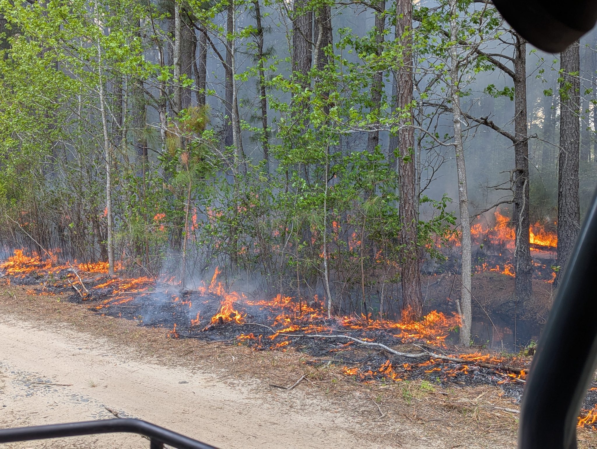 Prescribed burn in progress.