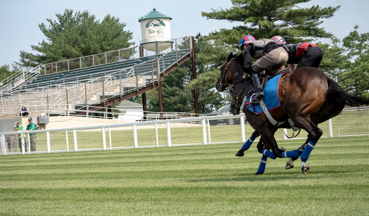 Maryland Department of Natural Resources Announces Horse Racing to ...