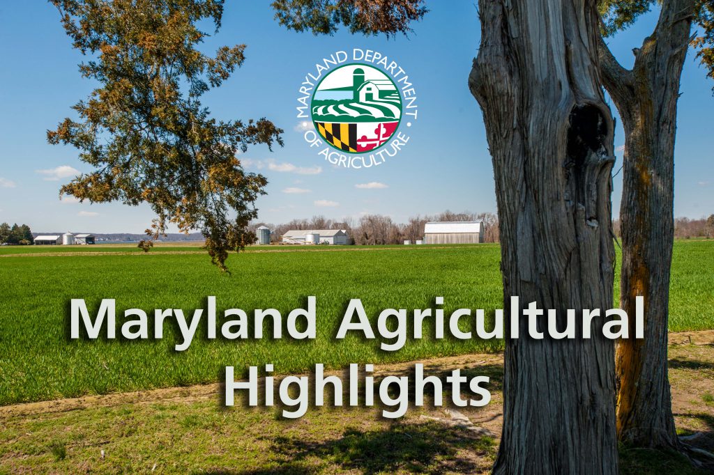 Maryland Agricultural Highlights – November 2019